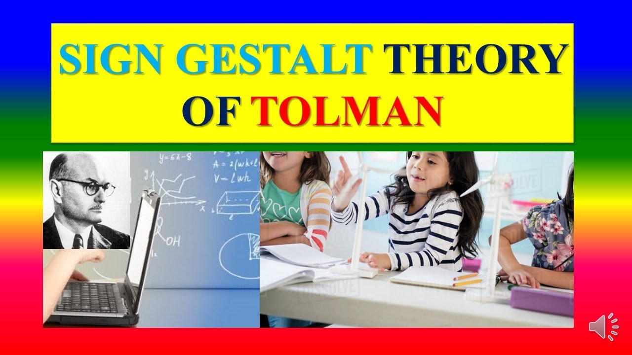 SIGN GESTALT THEORY OF TOLMAN - Psychology - Applied psychology for ...