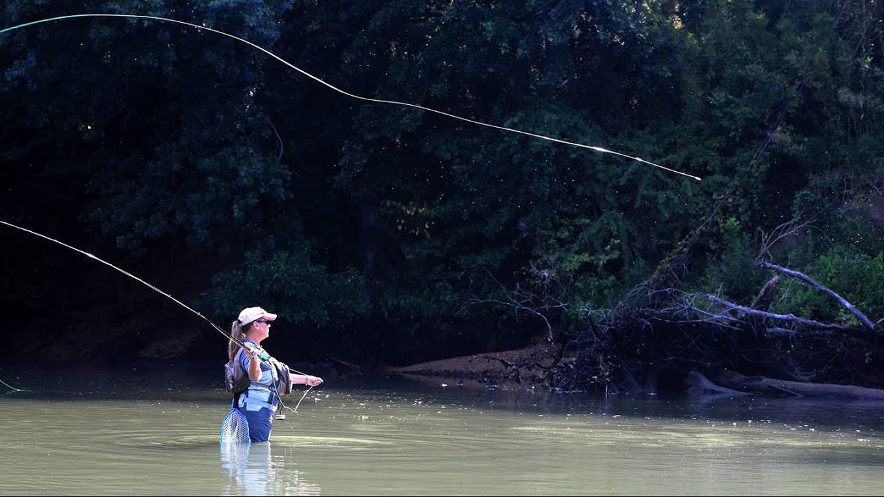 Fly-fishers learn ins and outs of Illinois River fishing - YouTube