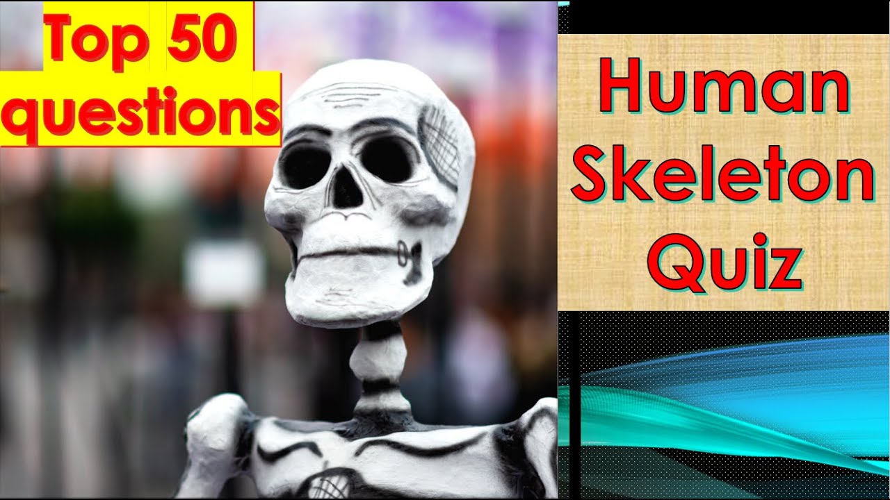 Human Skeleton Quiz | Top 50 questions |Skeletal System - YouTube