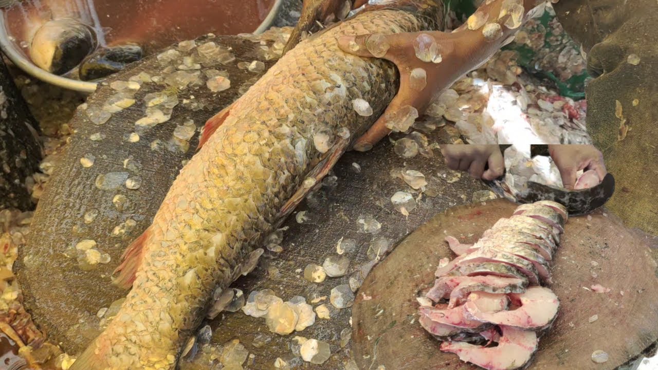 Grass Carp / Gas cut Fish cutting for fish fry pieces | Fish cutting ...
