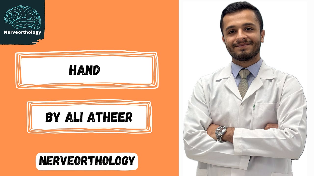 Anatomy of hand (manus) - YouTube