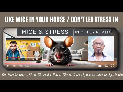How Mice and Stress Are Alike: Block Both From Taking Over Your Life ...