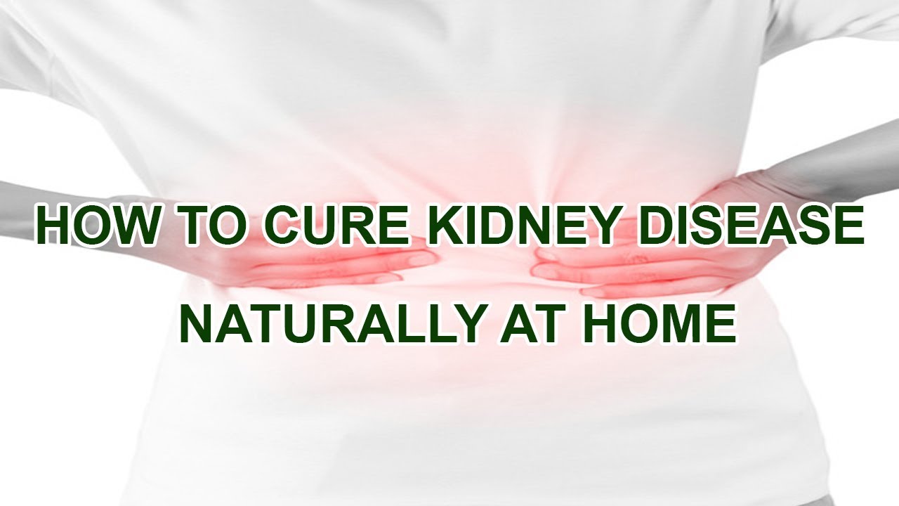 How to cure Kidney Disease naturally at home | All Natural Kidney ...