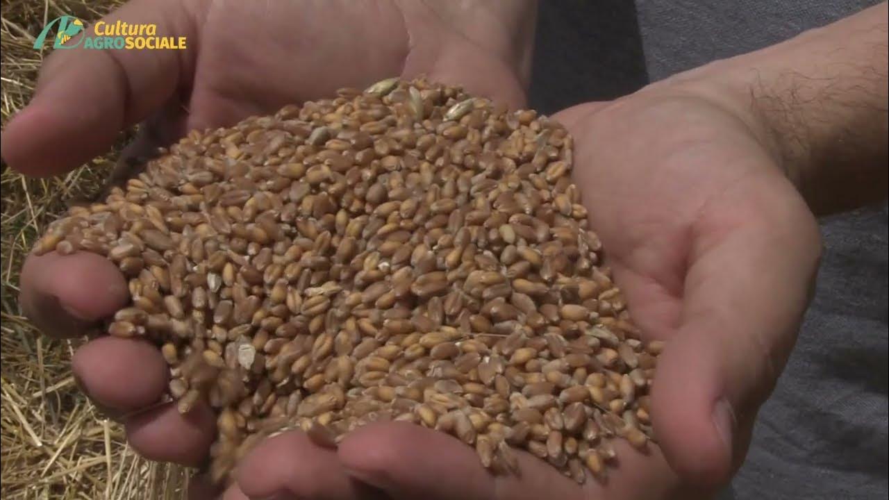 Cultura Agrosociale, tra ecoitinerari e farmer market - YouTube