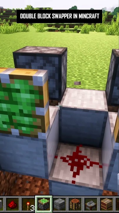 Double Block Swapper in Minecraft! #shorts - YouTube