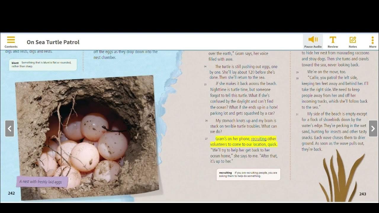 On Sea Turtle Patrol - HMH - Read Aloud - YouTube