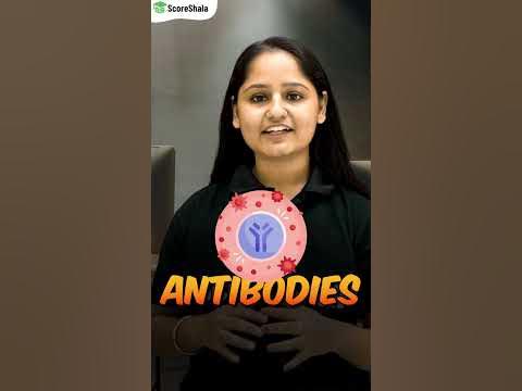 What Happens if You Receive the Wrong Blood Type😱 #shorts - YouTube