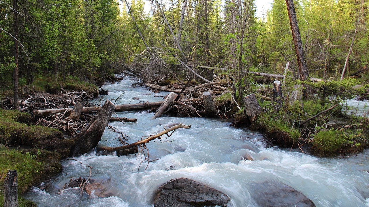 Deep meditation music. Flowing sound of Nature with music. Mountain ...