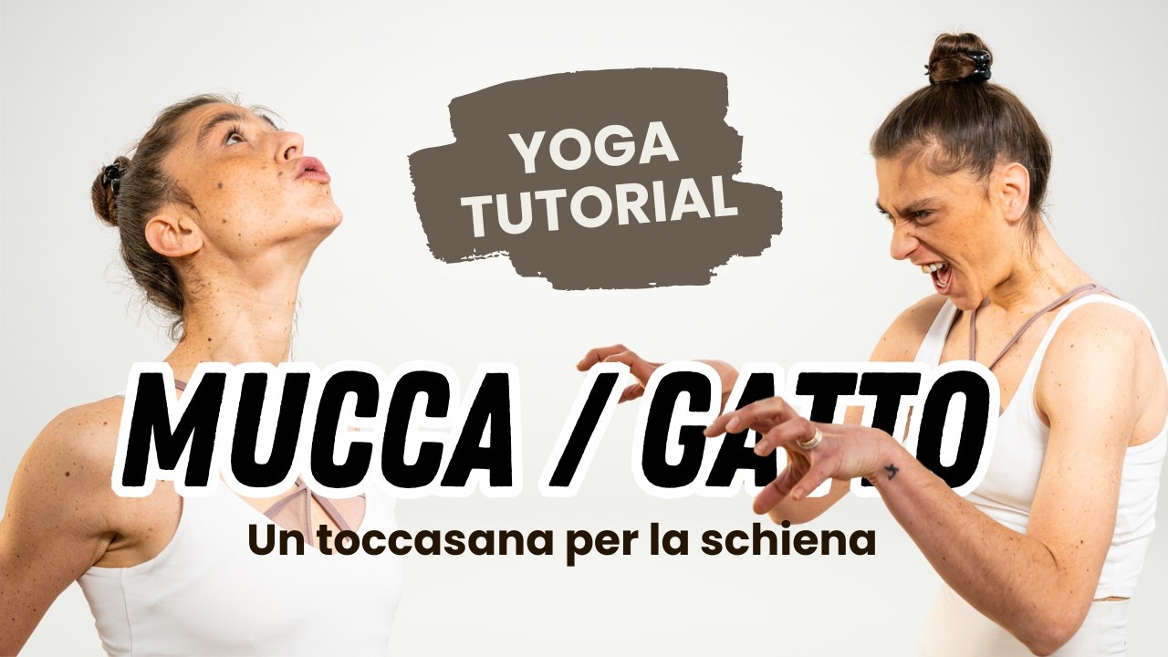 Mucca-Gatto: esercizio yoga per la mobilità della colonna, un toccasana ...