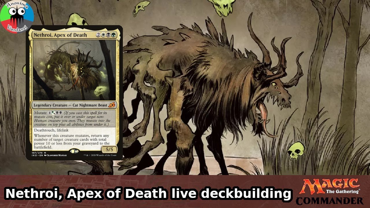 GATTO?!?!? Nethroi, Apex of Death | Deckbuilding Live Commander EDH MtG ...