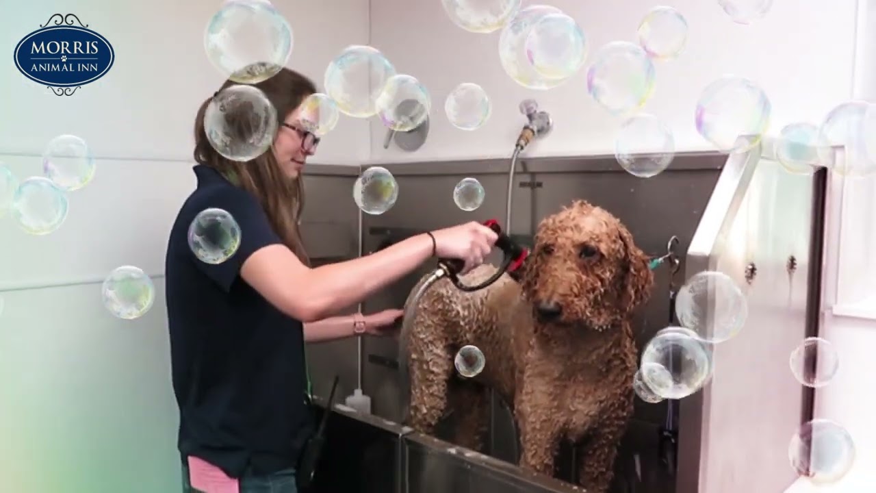 Bath Time Youtube