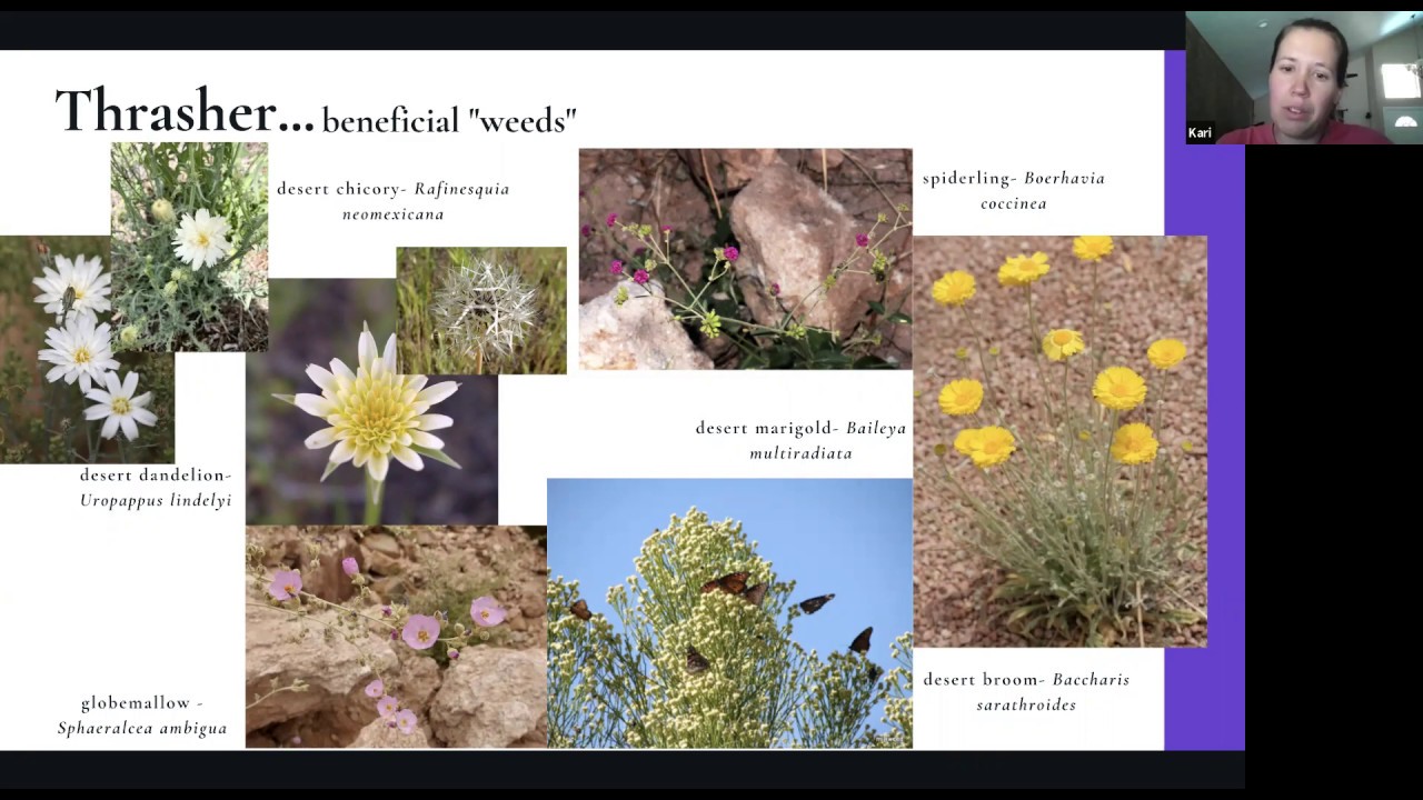 The 7 essential components of Habitat at Home - YouTube