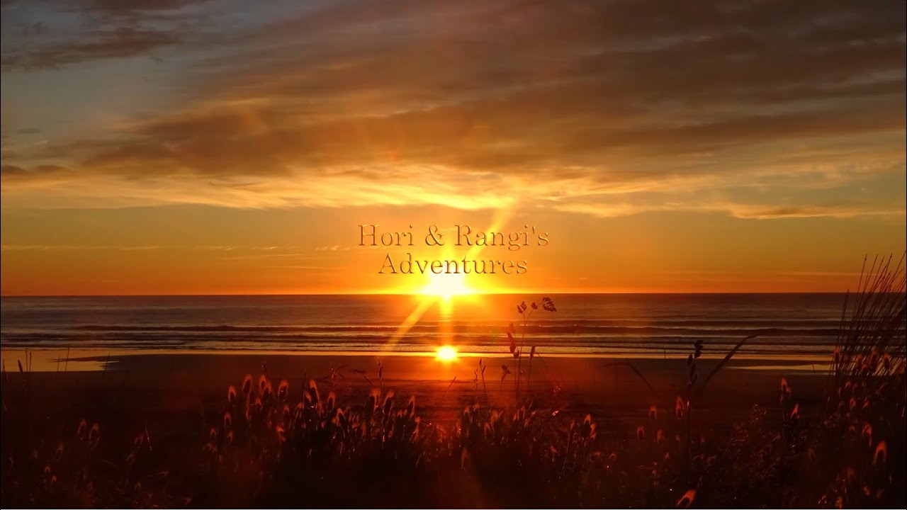 Bait Catch & Cook Up Fish Heads & Frames, Gisborne New Zealand - YouTube