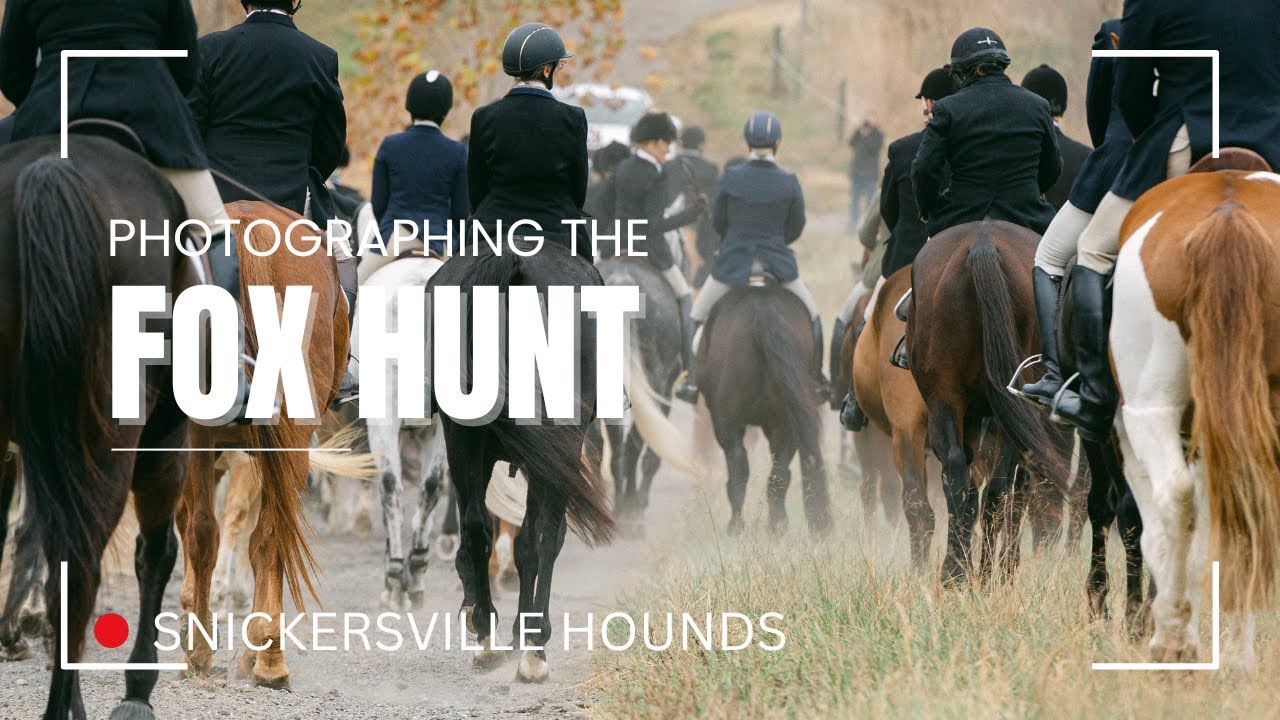 POV: Photographing the Fox Hunt | Come with me to Snickersville Opening ...