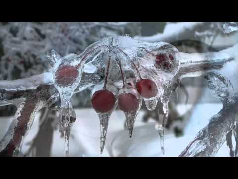 Josh Gorban- February Song