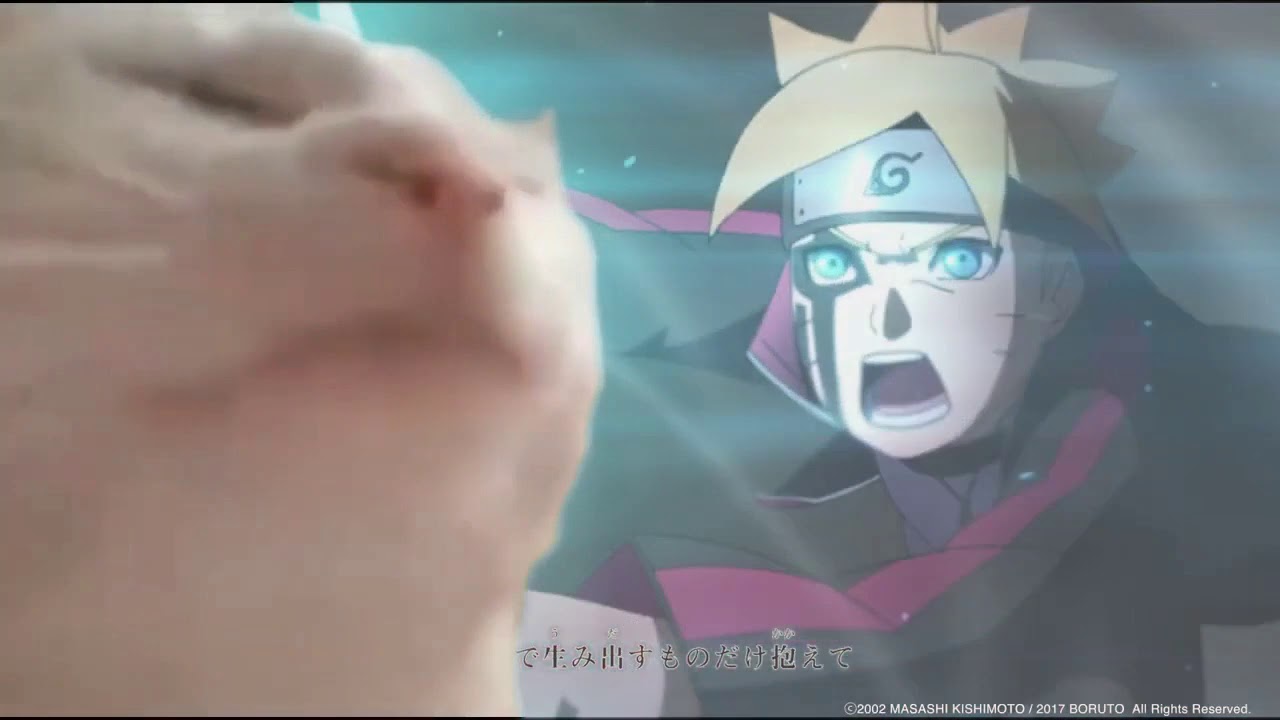 Boruto opening 8 with vibing cat | Baku by Ikimonogakari - YouTube
