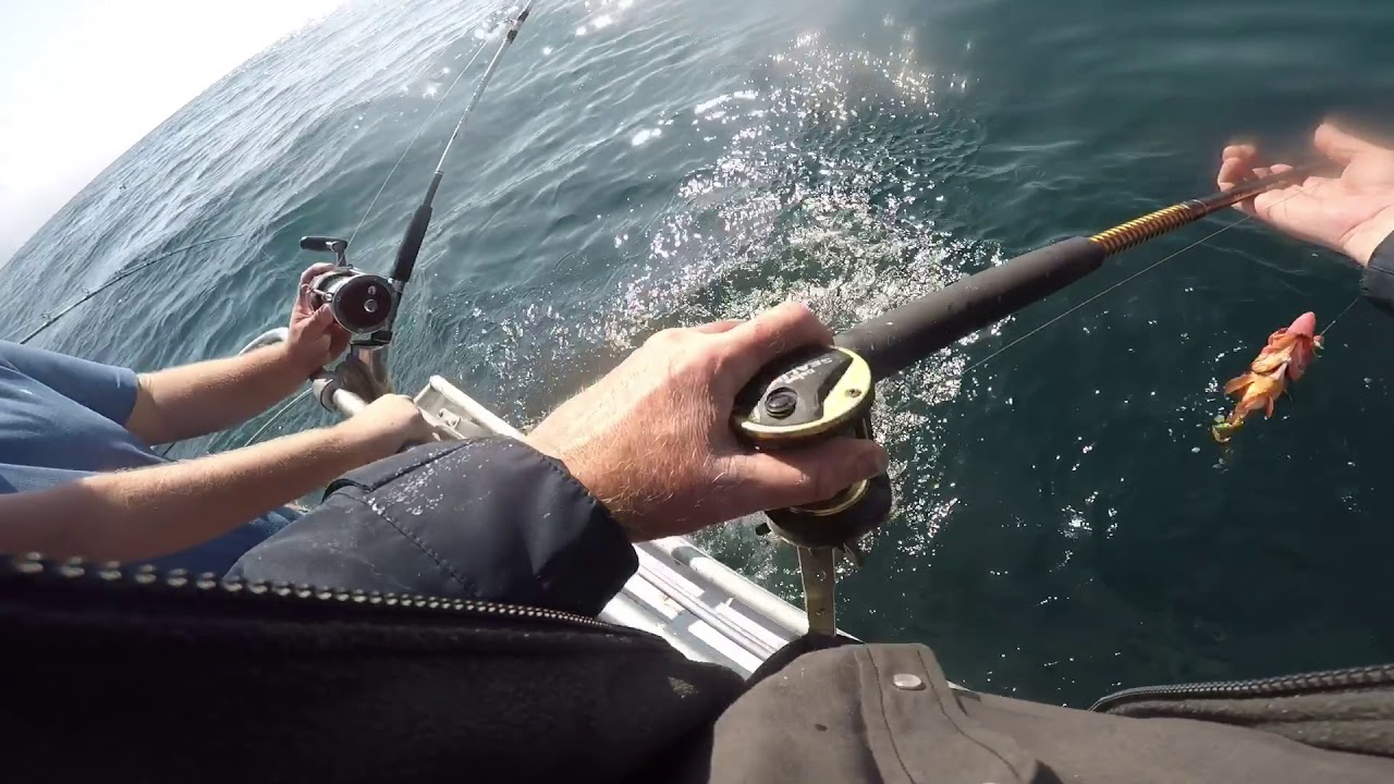 Morro Bay rockfishing 10/24/2018 - YouTube