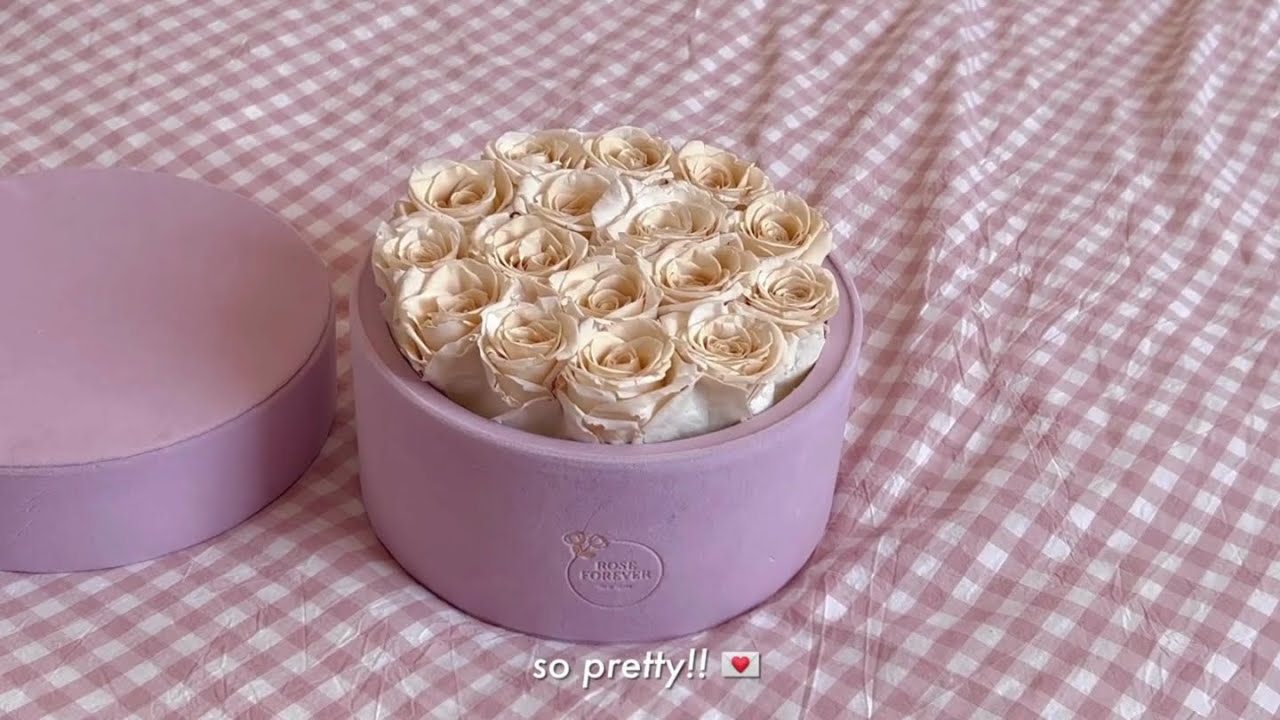 Review Rose Forever Preserved Roses 🤍 Ivory Roses Suede 16 - YouTube