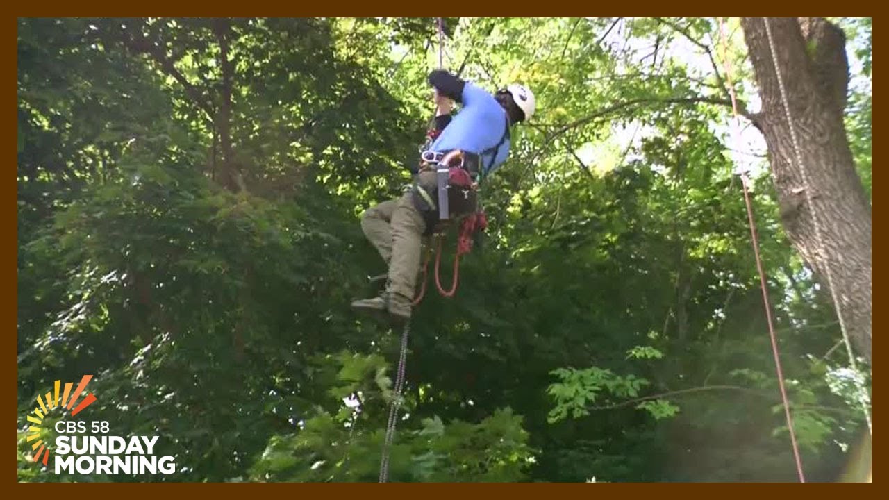 'I just love being outdoors': Fierce competition at the Wisconsin Tree ...