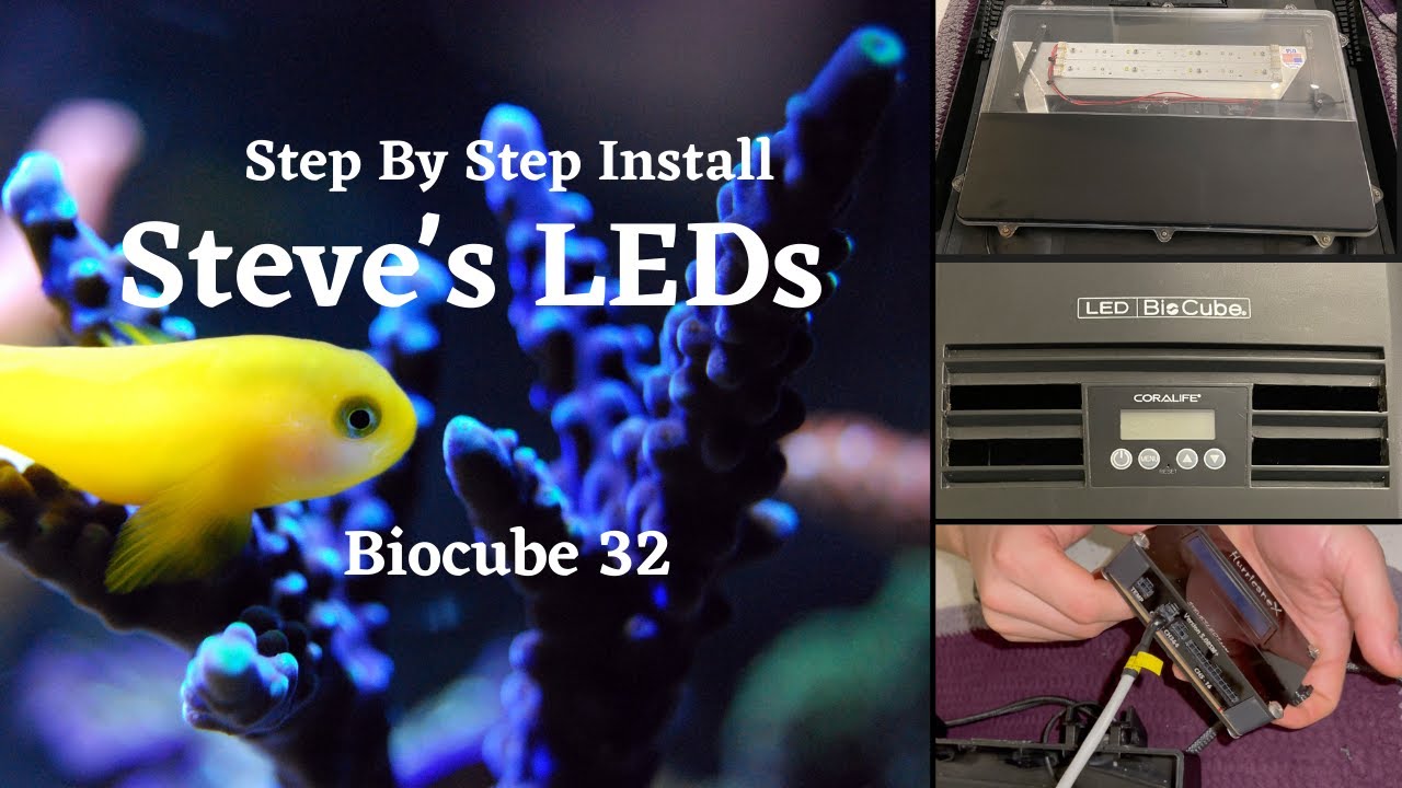 Steve's LEDs - Biocube 32 Lighting Upgrade - Step By Step Install - YouTube