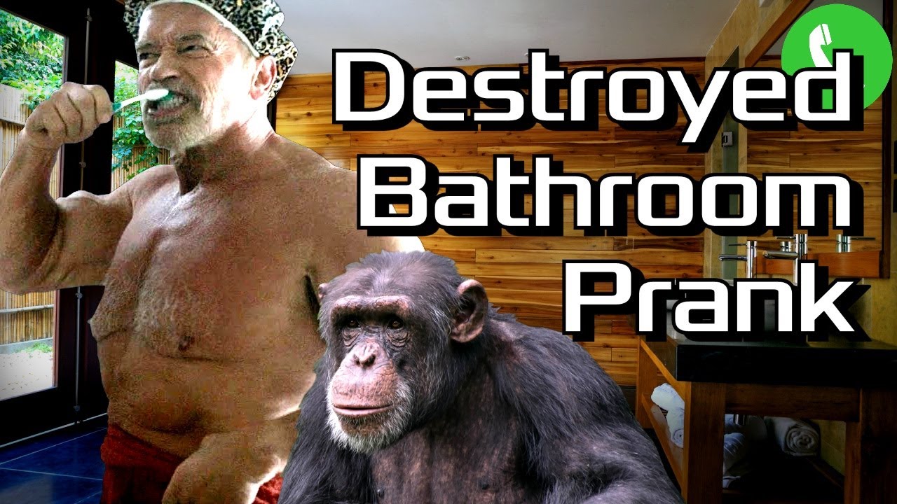 Apes Destroy Arnold's Bathroom - Prank Call - YouTube