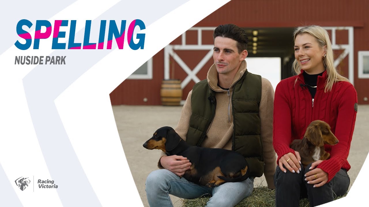 What is Spelling? Spelling Horses with Nuside Park - YouTube