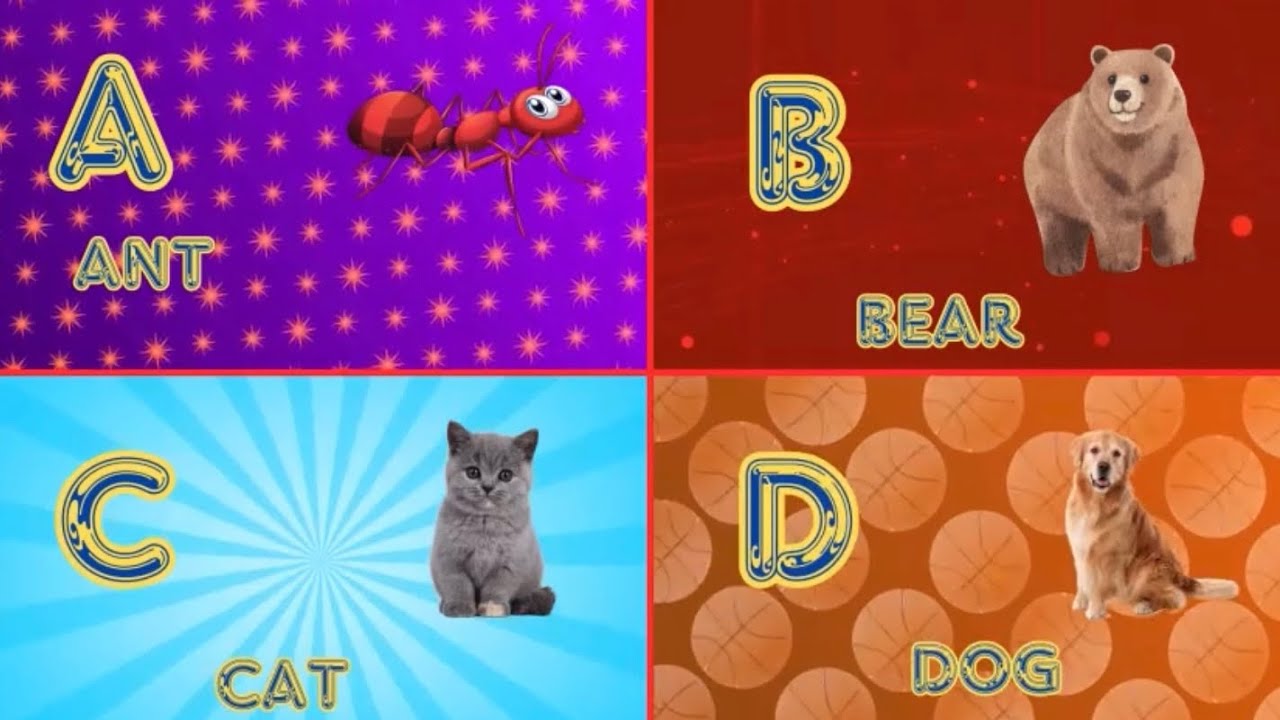 ABC SONG | ABC Song for children -14 Alphabet Song & 26 Videos - YouTube