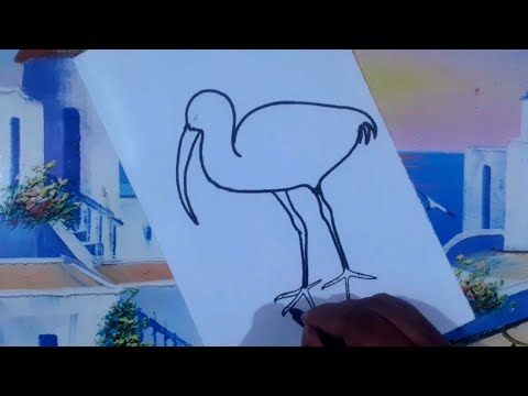How to draw an ibis step by step. birds drawing easy. - YouTube