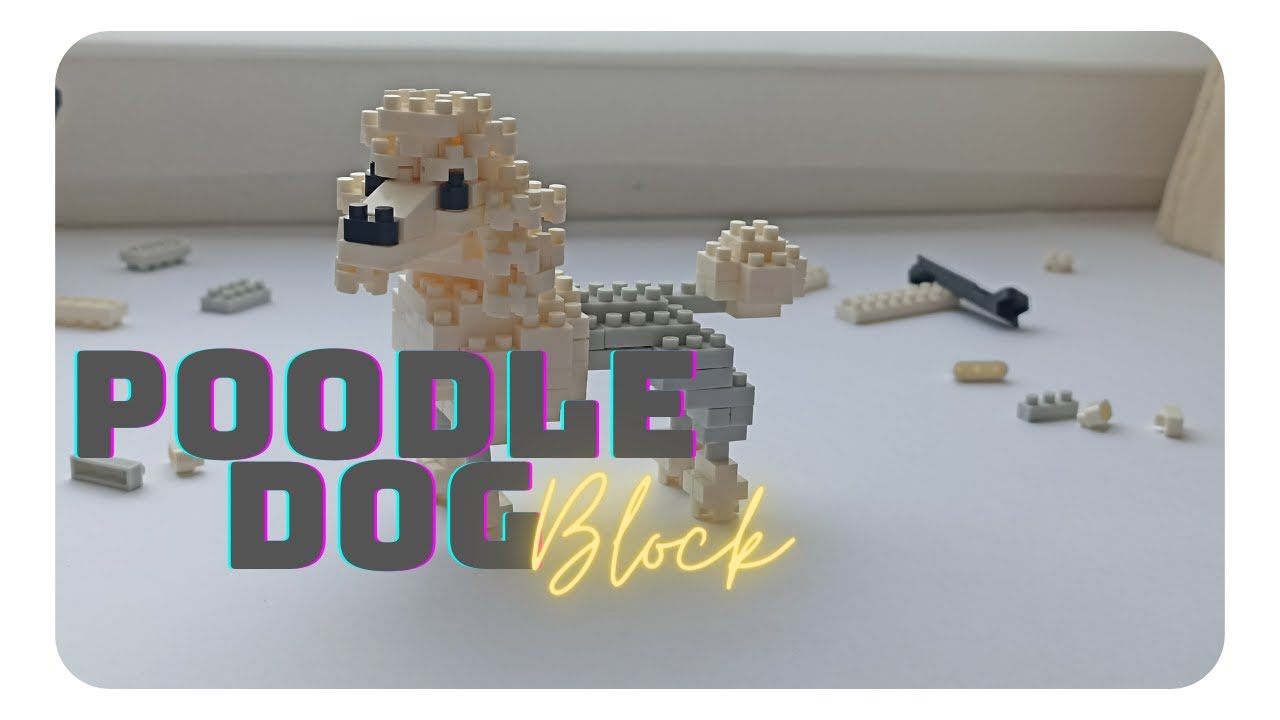 Build Petit Block - Poodle Dog - YouTube