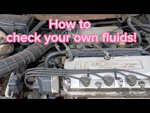 How to check your own fluids in your vehicle. - YouTube