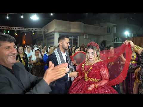 04 Xelilan Aşireti Adana Şabak Ailesi Özlem & Tayyip Kına