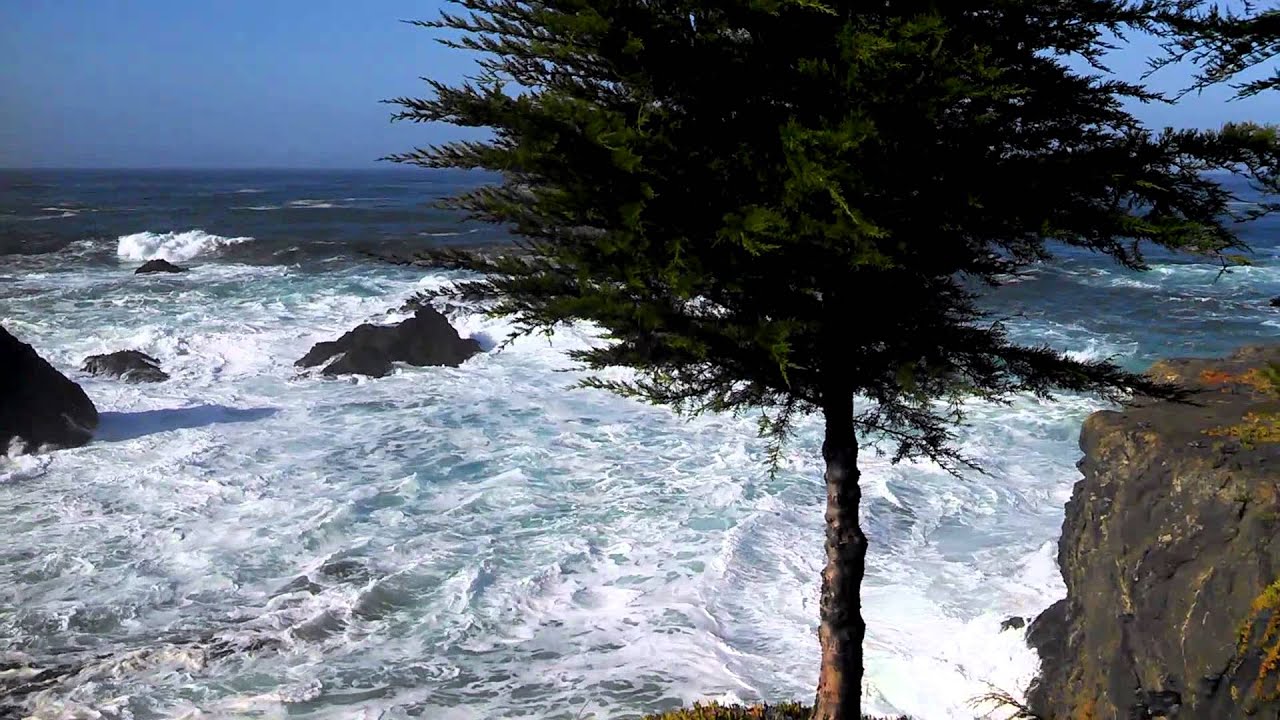 Abalone arch stay 5 - YouTube