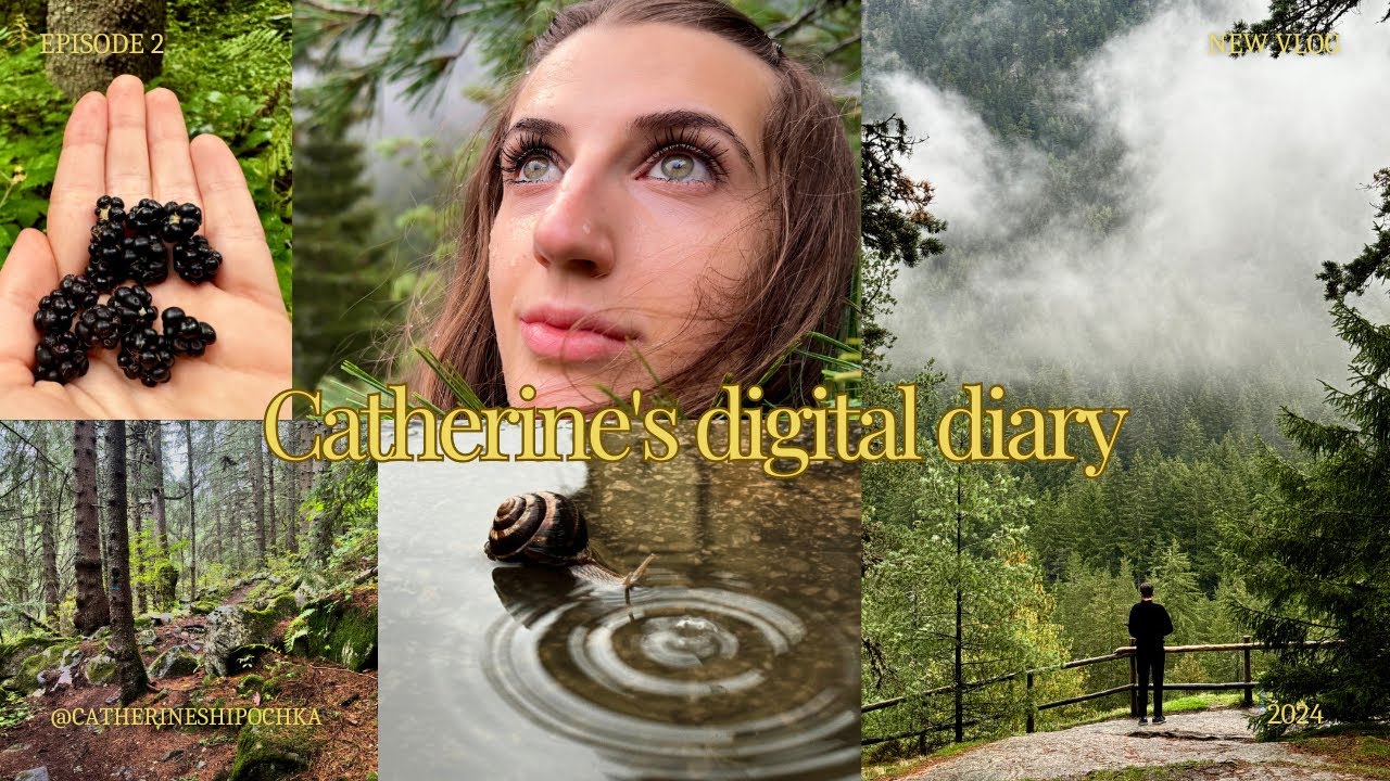 My Digital Diary 2 уютна вечер🕯 дъждовен ден🌧 разходка в гората🌲