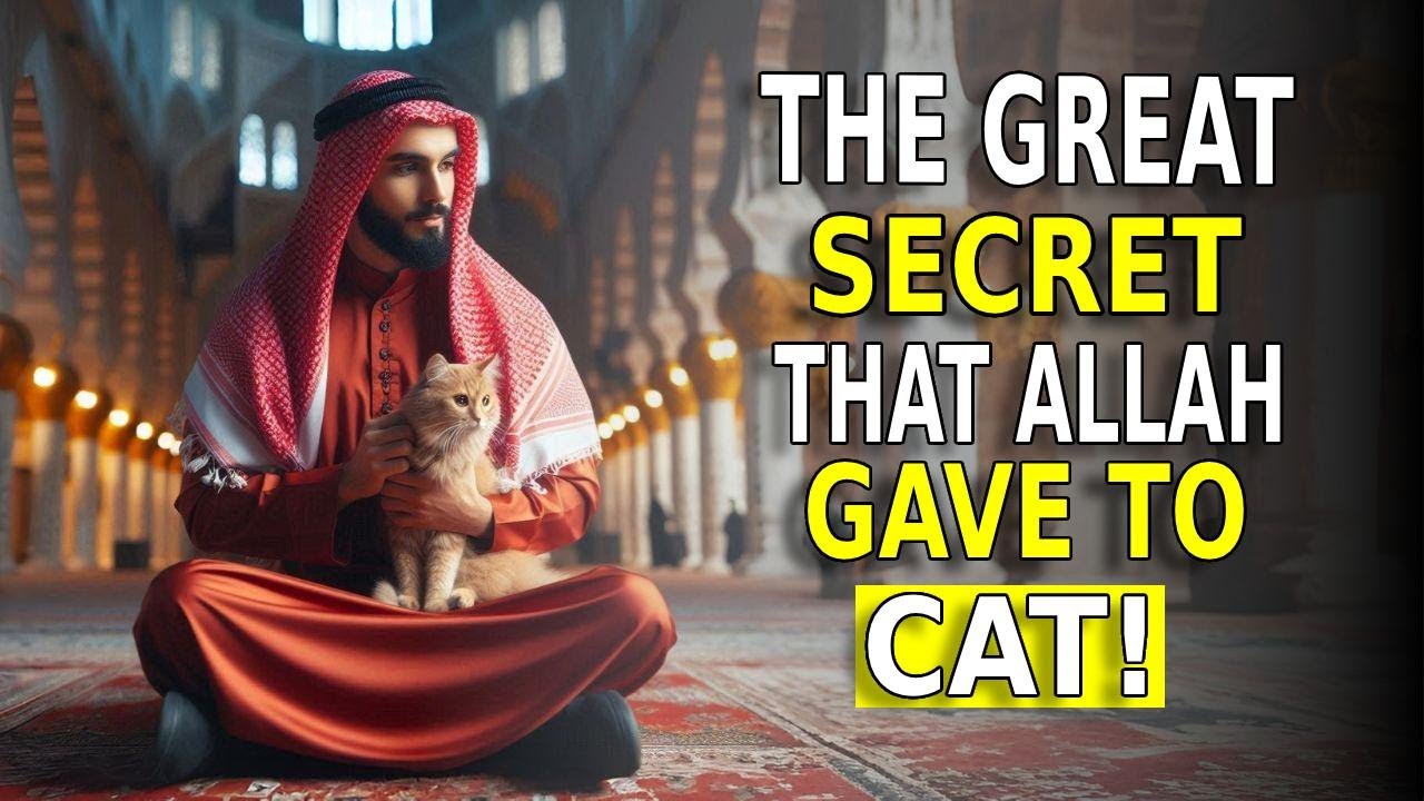 The Amazing MYSTERIES of CATS in Islam #islamicteachings #islam # ...