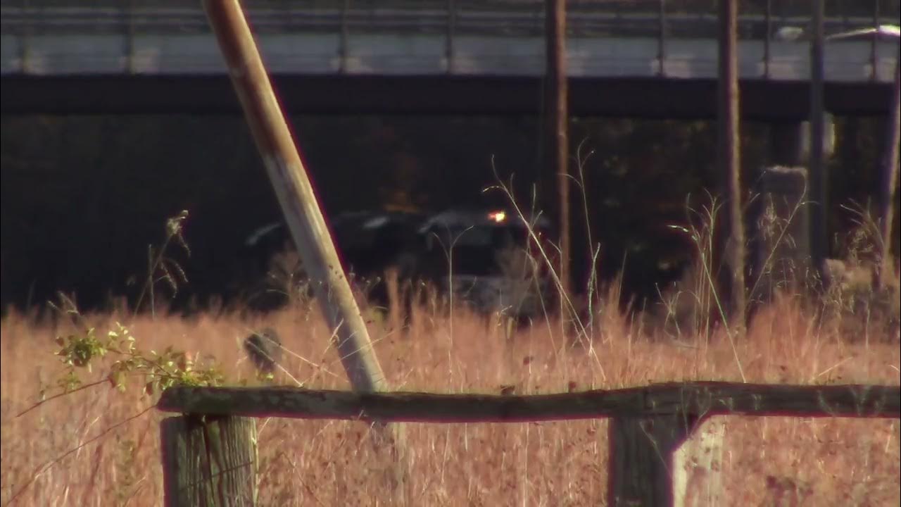 Eastbound NS V62 Power Move Crewe VA - YouTube