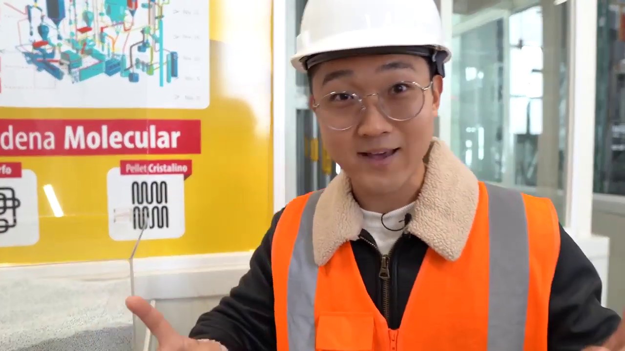 Coreano Vlogs de visita por PetStar - YouTube