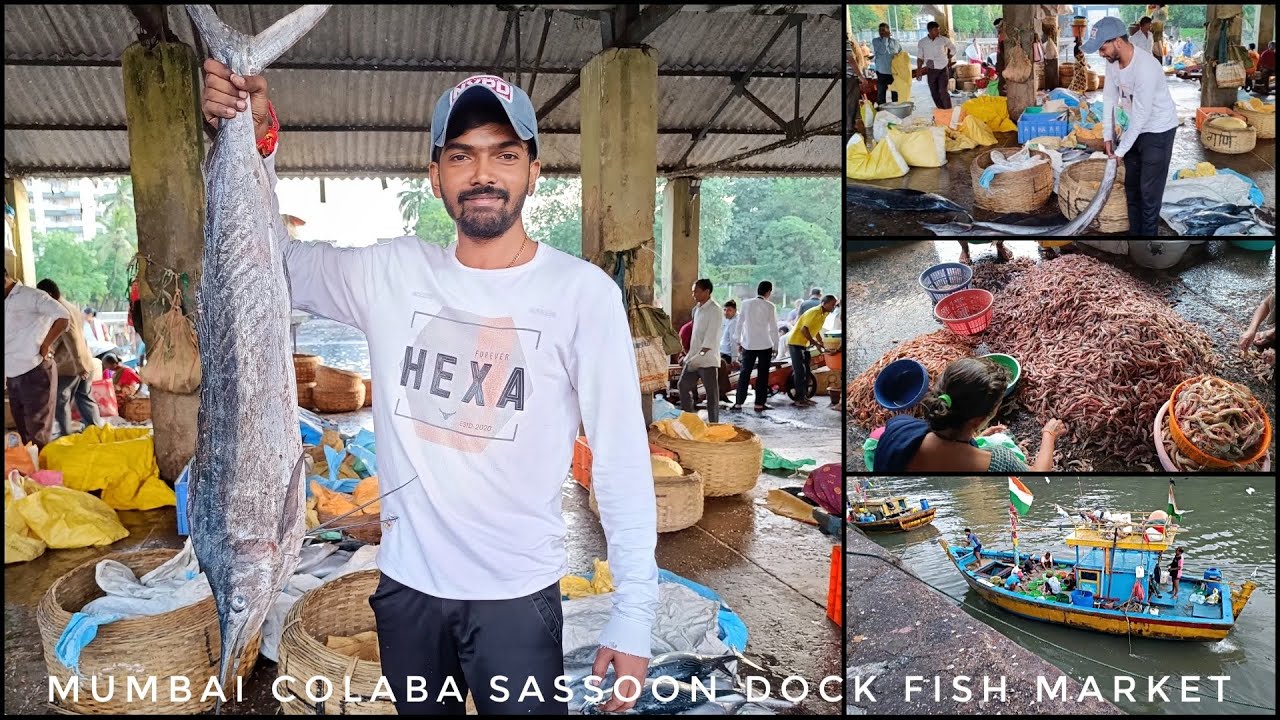 🐟Mumbai colaba Sassoon dock fish market /🦀 bhaucha Dhakka fish market # ...