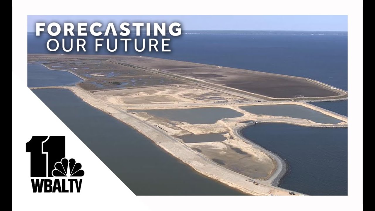 Restored Poplar Island saves wildlife habitat from climate change - YouTube