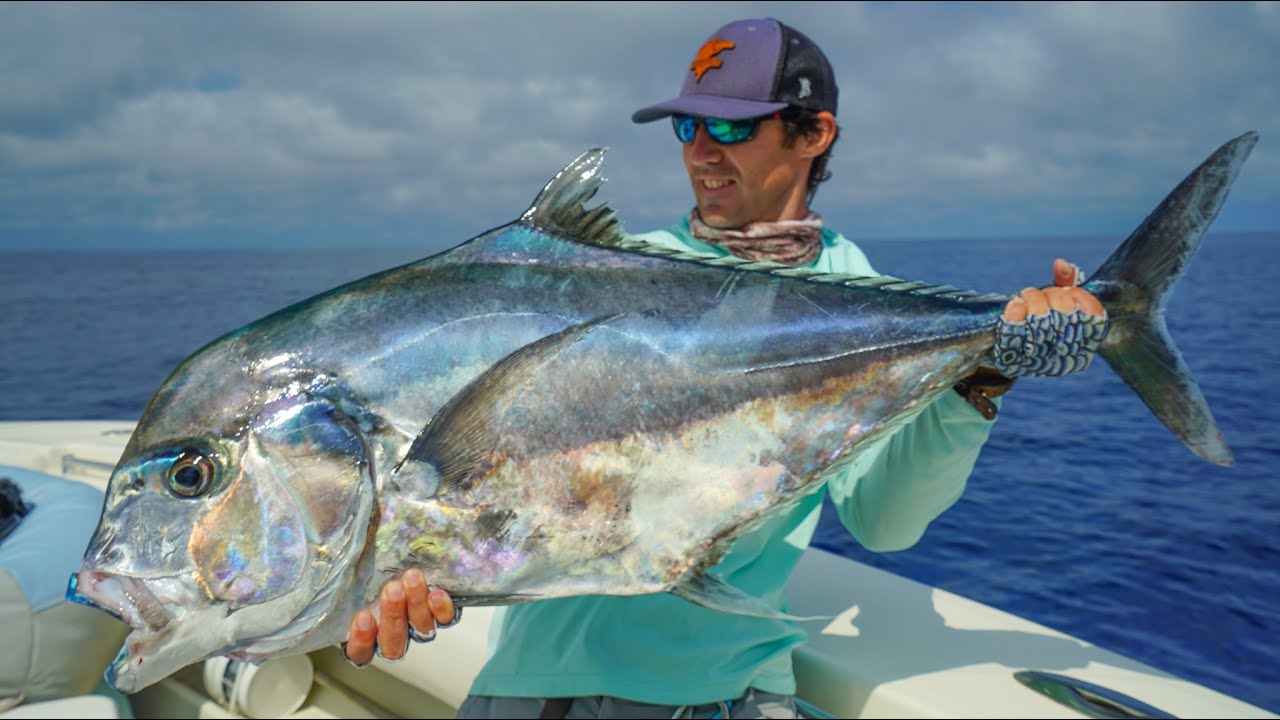 Jigging for GIANT Reef Fish 80 Miles Offshore! - YouTube