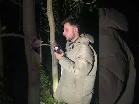 CİNLİ İNTİHAR KUYUSU CANLI YAYIN PARANORMAL OLAYLAR