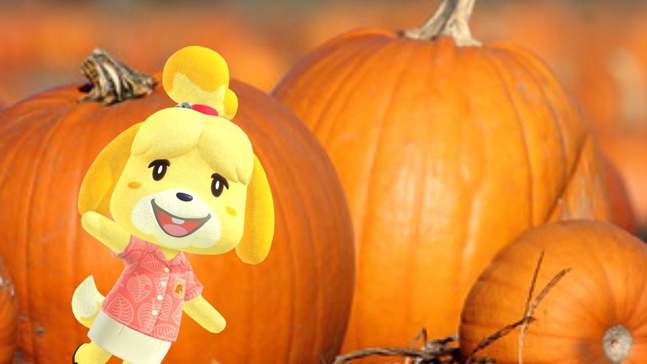 ANCH Fall Update Prep: Picking Flowers, Shooting Stars, and Totaka's ...