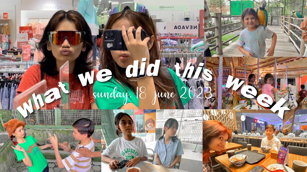 what we did this week - YouTube