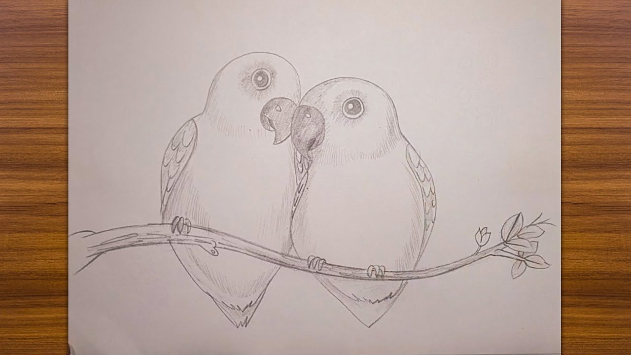 Drawing of Love Birds | Easy Bird Pencil Drawing - YouTube