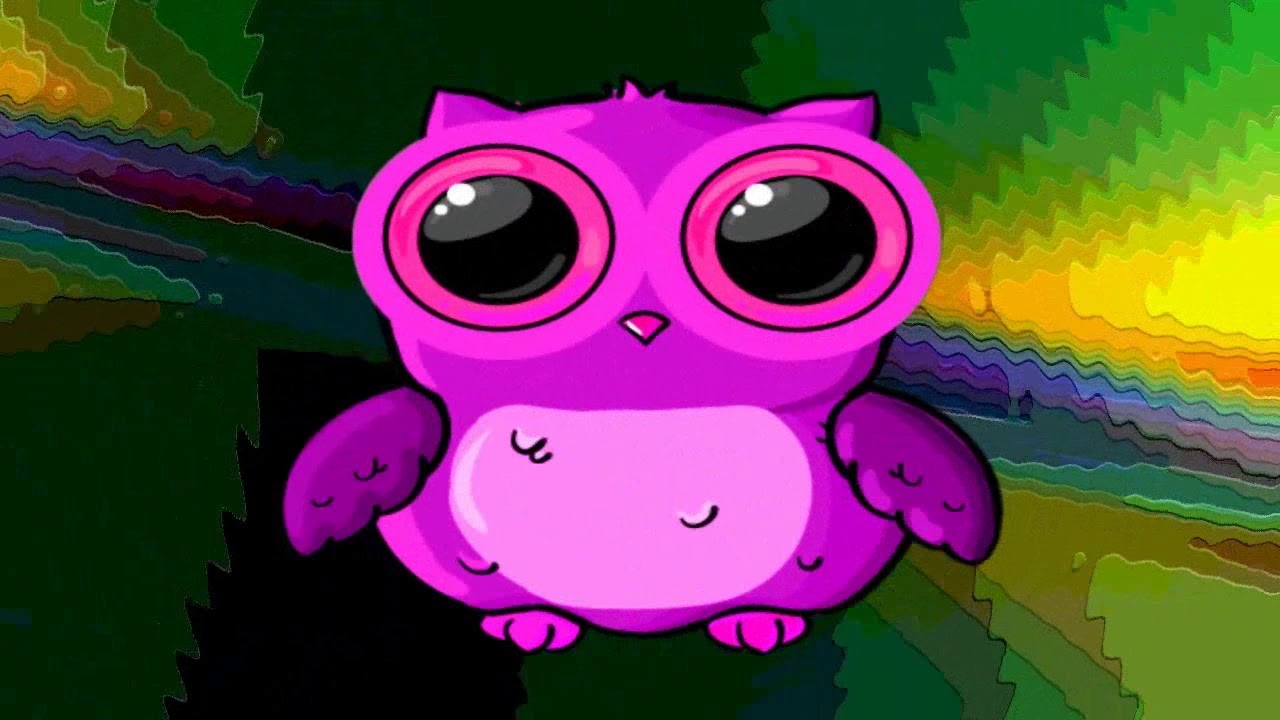 SLOTHS OWLS AND PENGUINS - YouTube