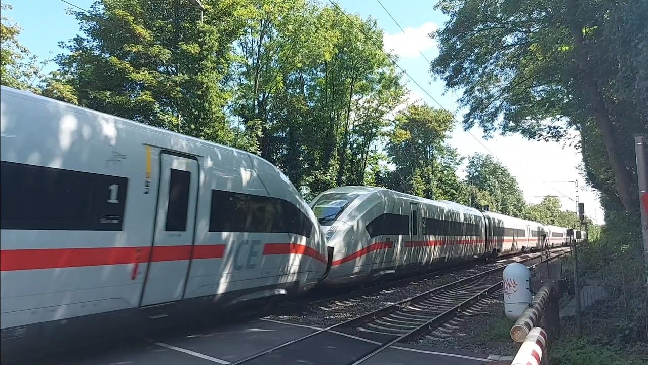 Bahnübergang im Krugfeld Hildesheim Züge am Sonntag 11.8.2024 ICE 4 ...