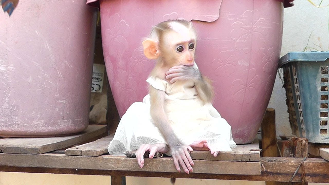 Small Baby Elan Look Unhappy When Play Outside With Her Mom Today - YouTube