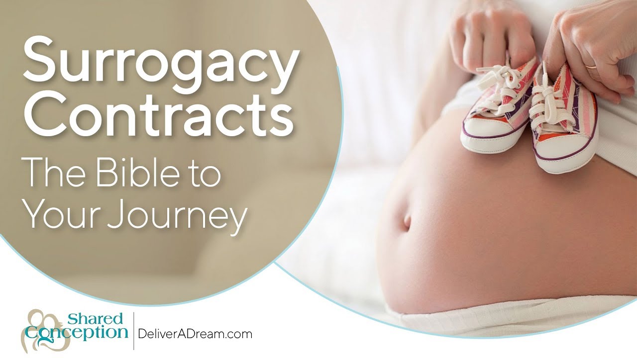 Reading Your Surrogacy Contract - Part 5 - Shared Conception ...
