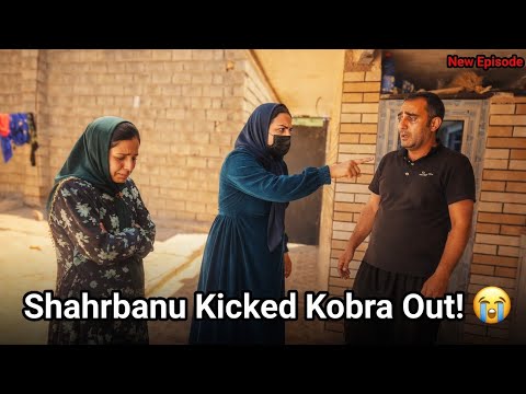 Shahrbanu kicked Kobra out of the house! 😭 When Qasim returned, everything was ruined.
