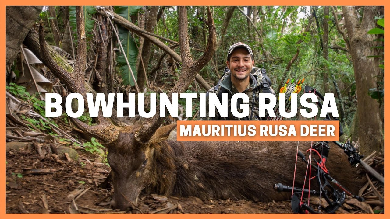 BOWHUNTING RUSA DEER MAURITIUS 🔥 HUNTING SAMBAR SPOT AND STALK 🔥 - YouTube