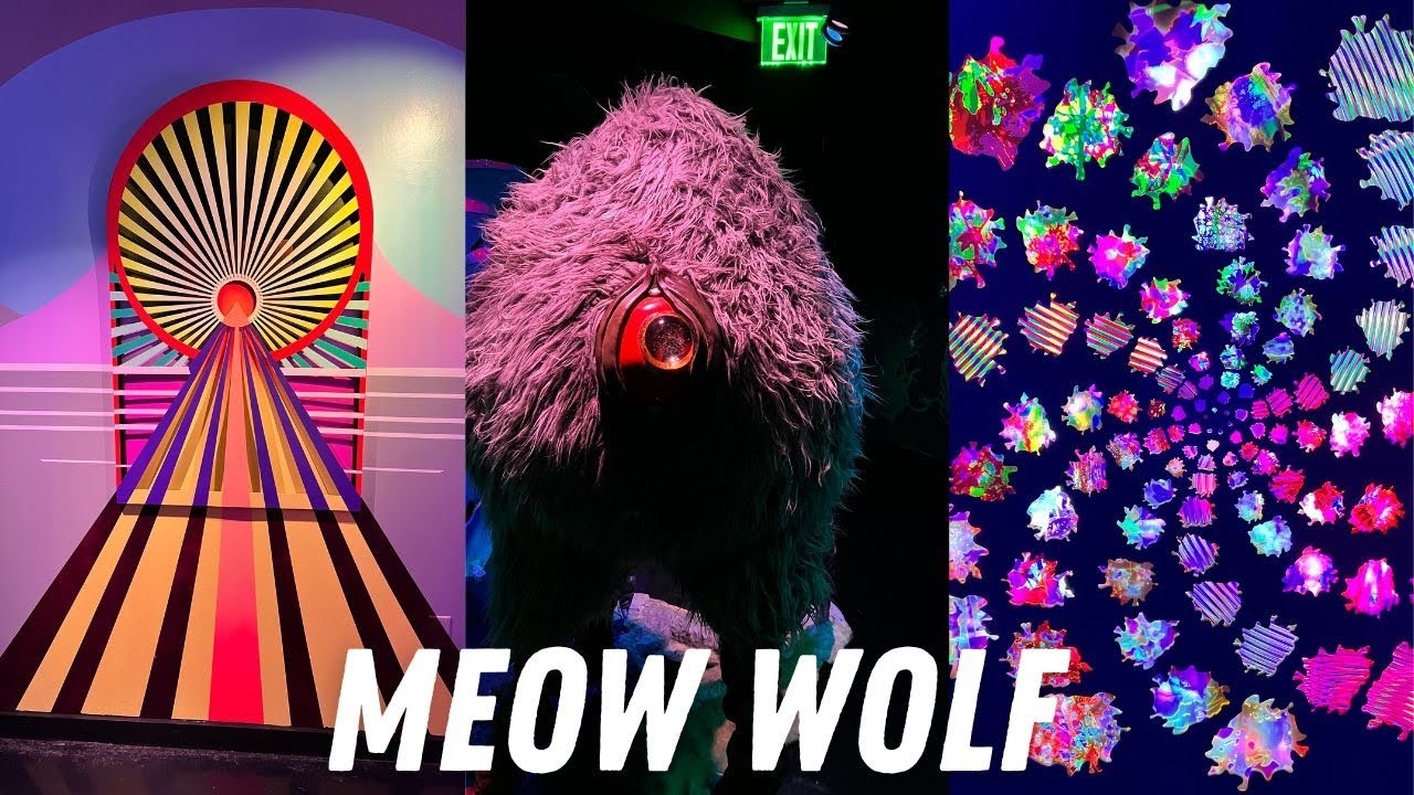 The Ultimate Meow Wolf Experience - YouTube
